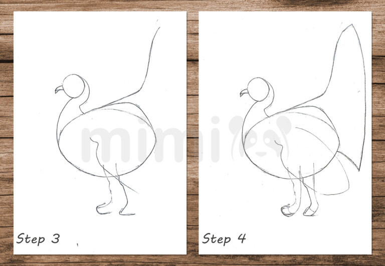 Turkey Drawing: How to Draw | Mimi Panda