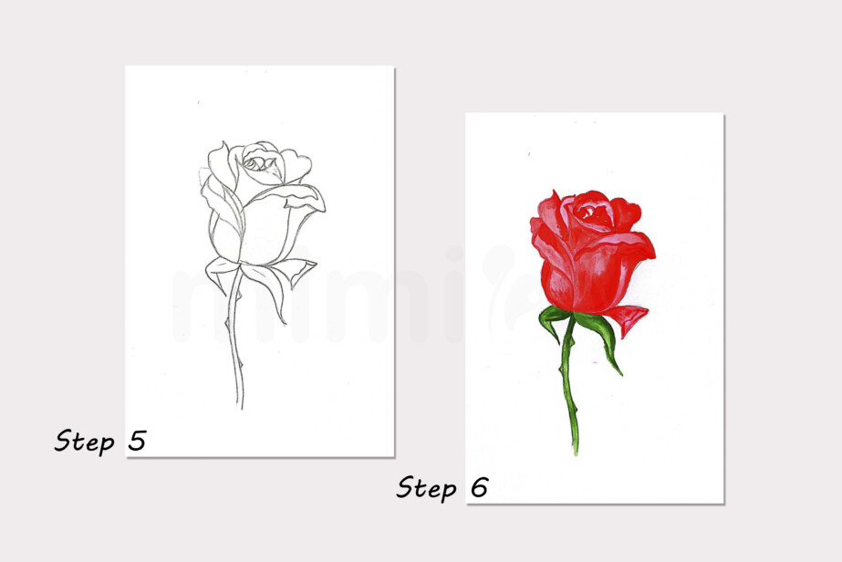 Rose Bud: How to Draw Easily | Mimi Panda