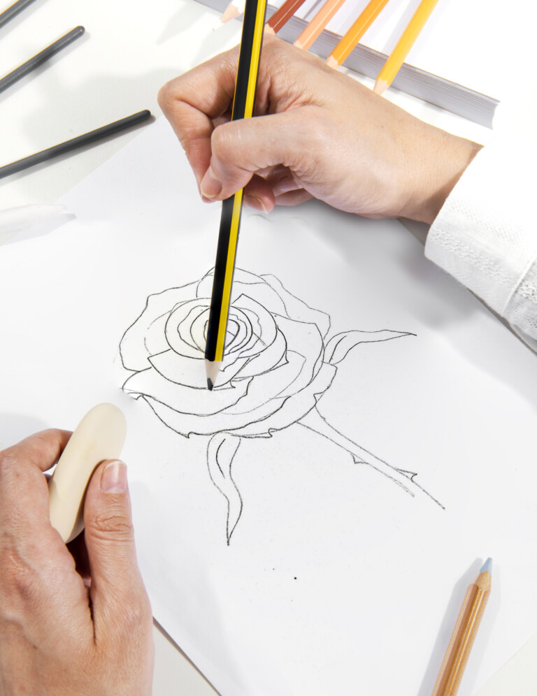 Rose Drawing: Step-by-Step Tutorial | Mimi Panda