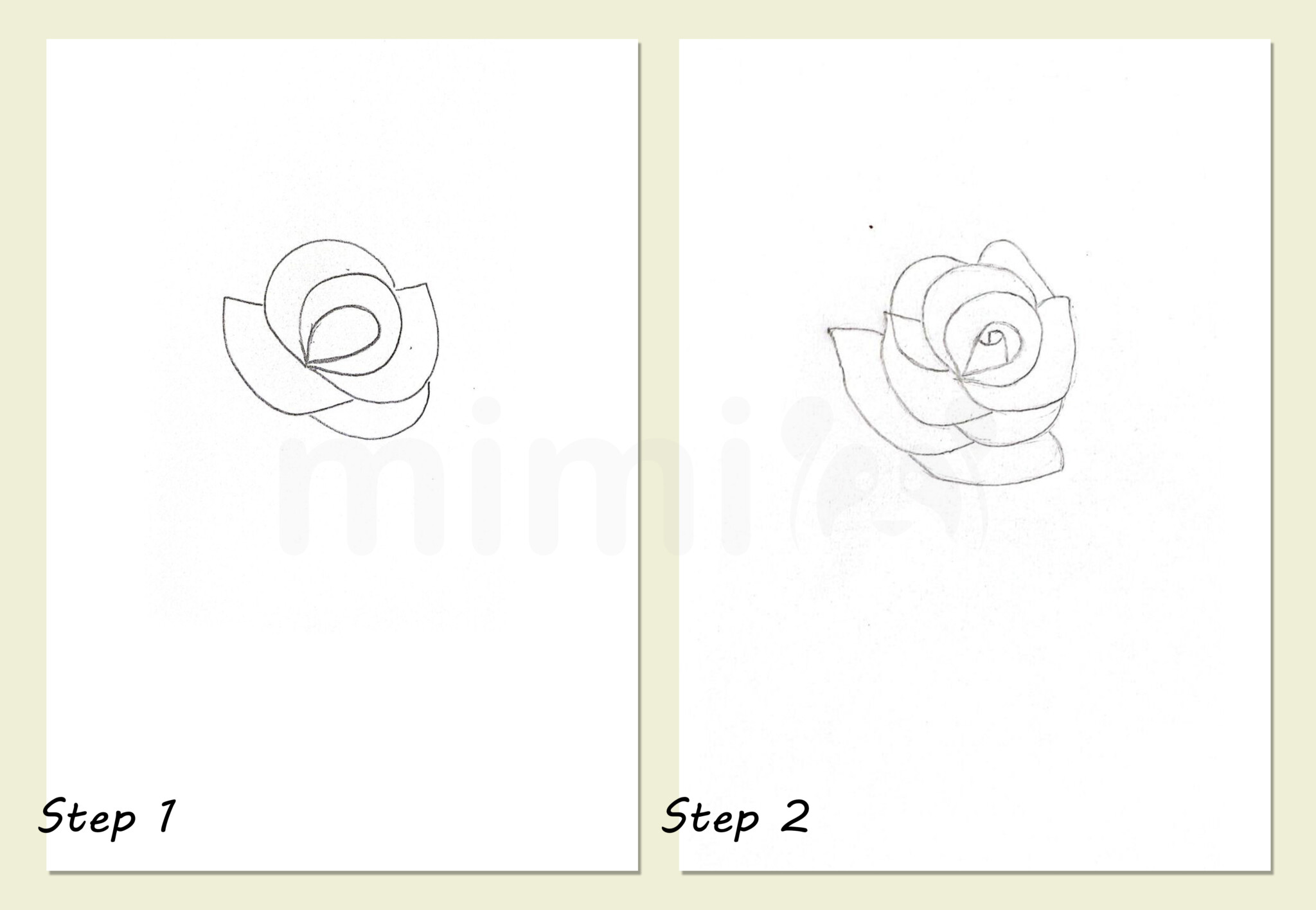 Rose Drawing: Step-by-Step Tutorial | Mimi Panda