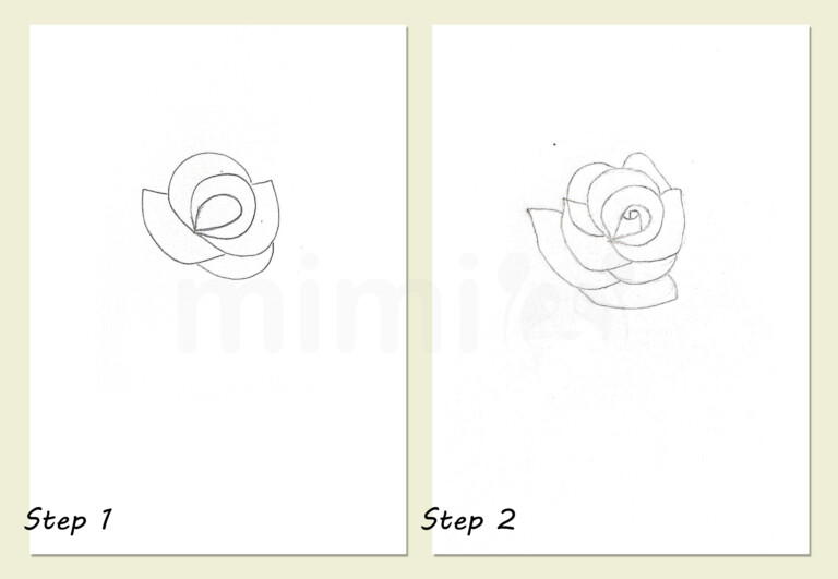 Rose Drawing: Step-by-Step Tutorial | Mimi Panda