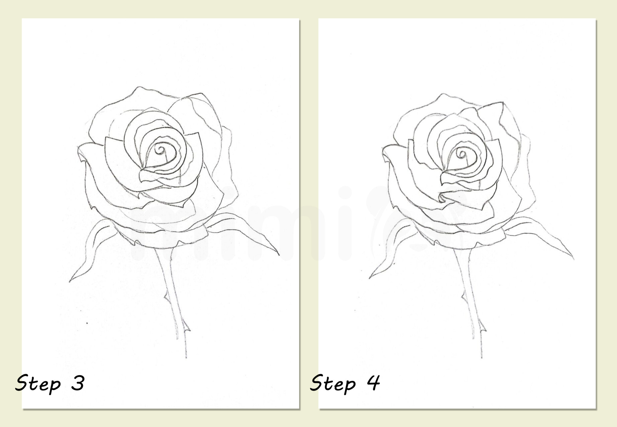 Rose Drawing: Step-by-Step Tutorial | Mimi Panda