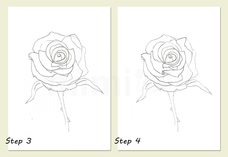 Rose Drawing: Step-by-Step Tutorial | Mimi Panda