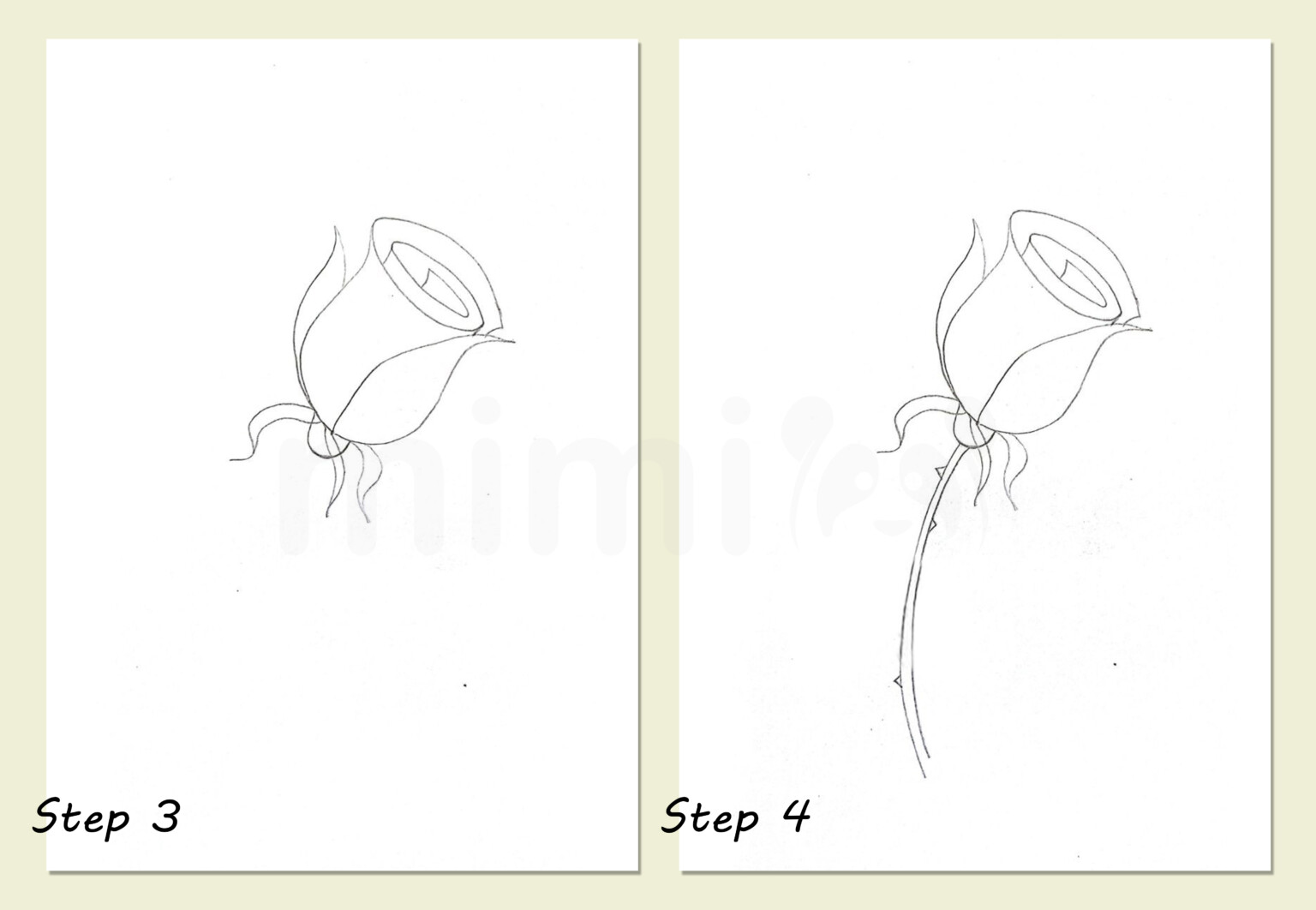 Rose Drawing: Step-by-Step Tutorial | Mimi Panda