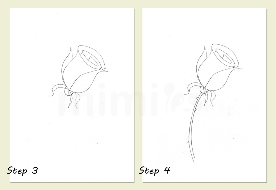 Rose Drawing: Step-by-Step Tutorial | Mimi Panda