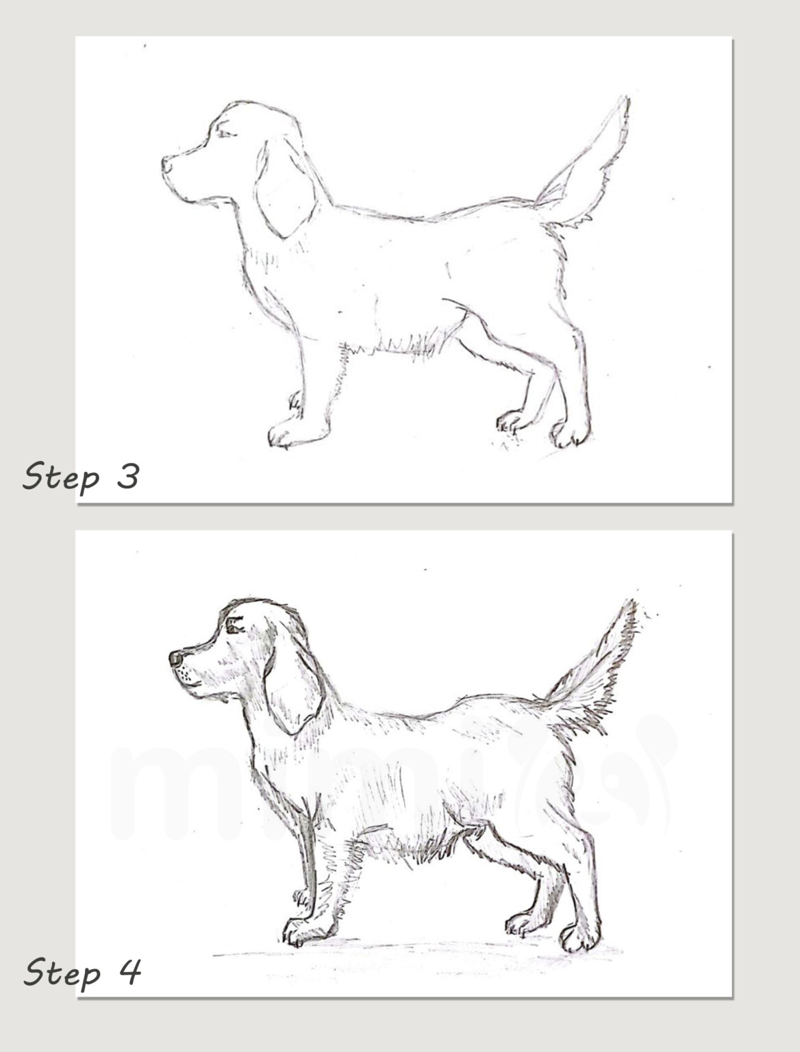 Dog Drawing: Step-by-Step Tutorial | Mimi Panda