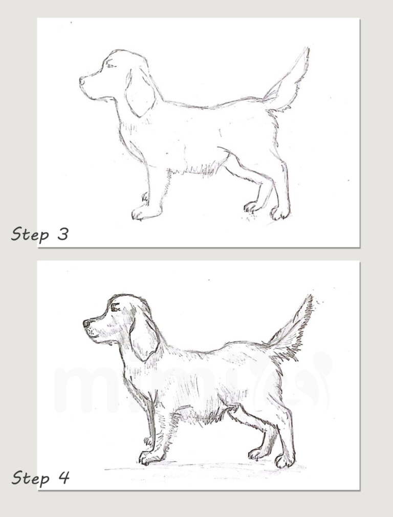 Dog Drawing: Step-by-Step Tutorial | Mimi Panda