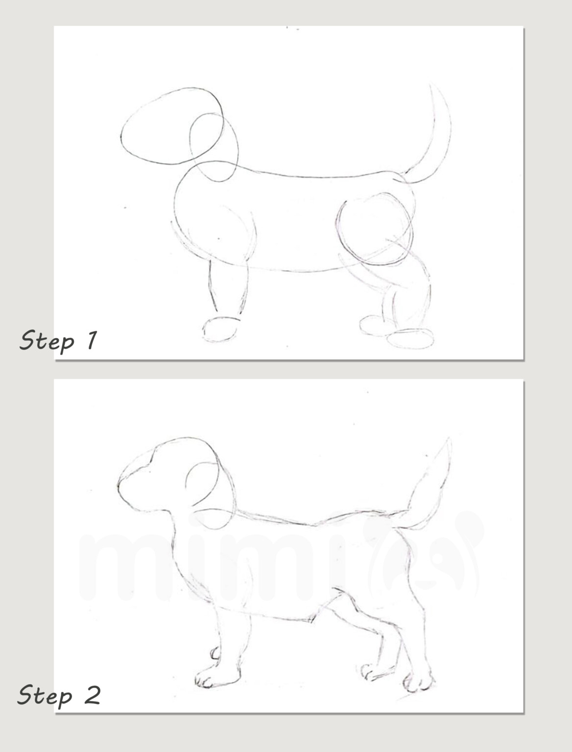 Dog Drawing: Step-by-Step Tutorial | Mimi Panda