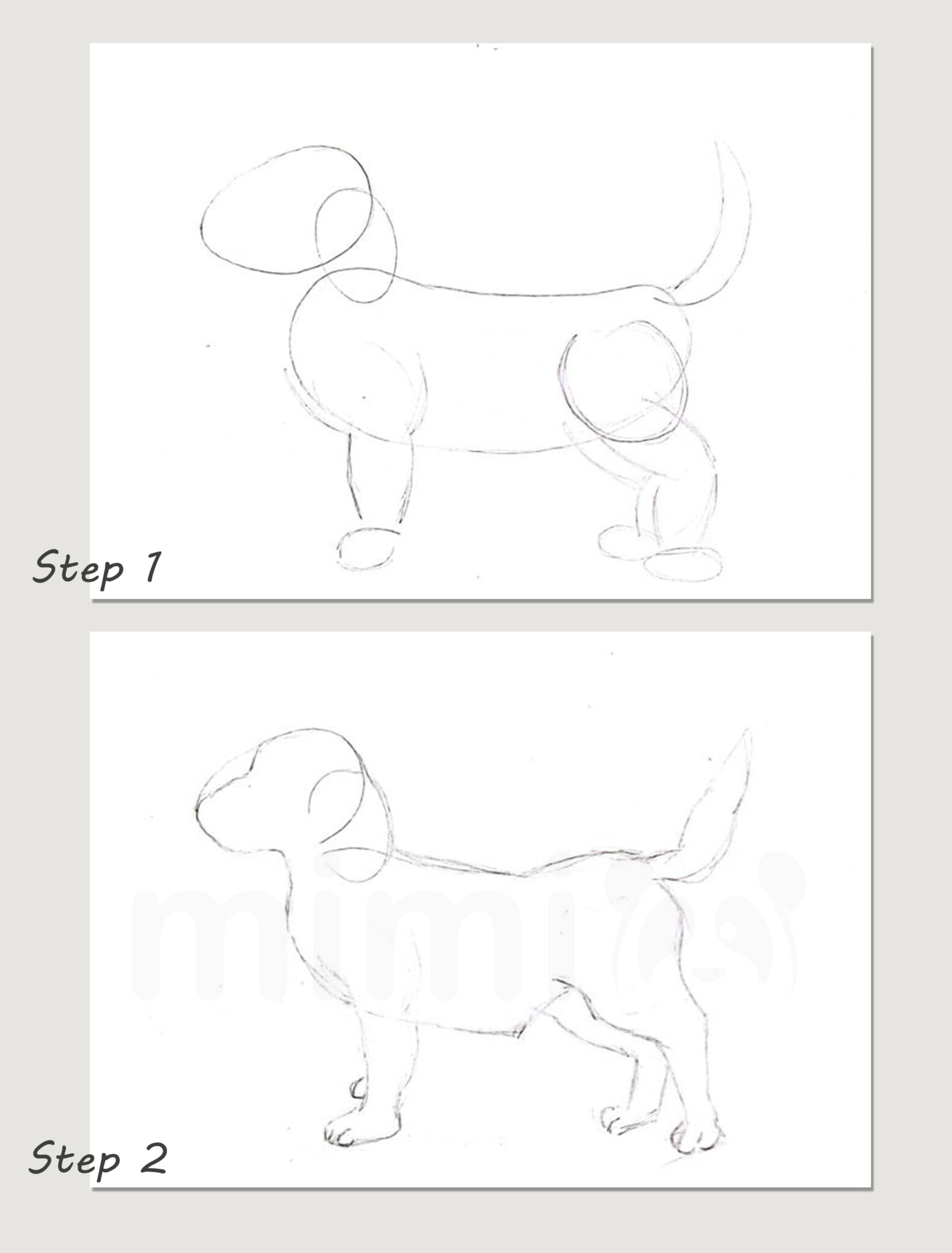 Dog Drawing: Step-by-Step Tutorial | Mimi Panda