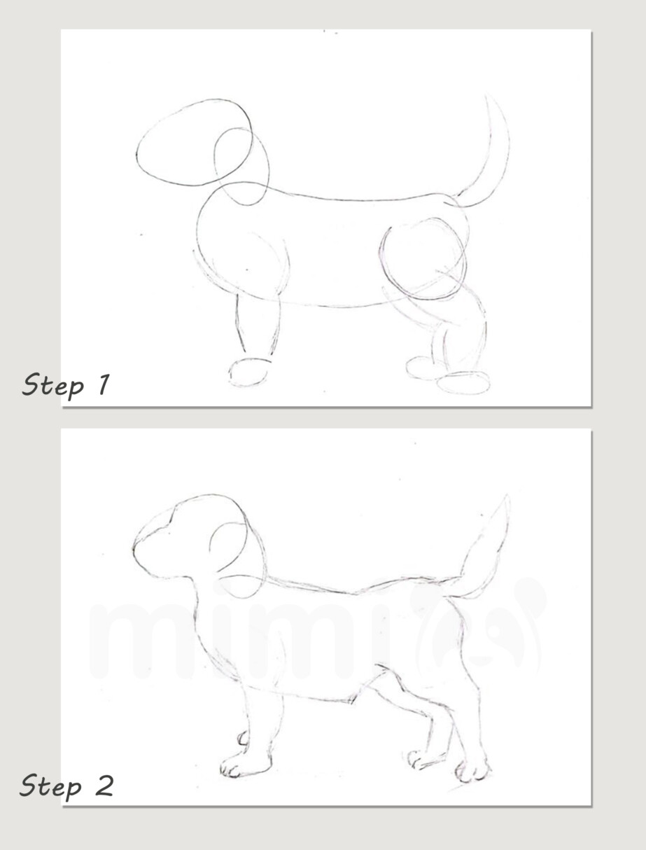 Dog Drawing: Step-by-Step Tutorial | Mimi Panda