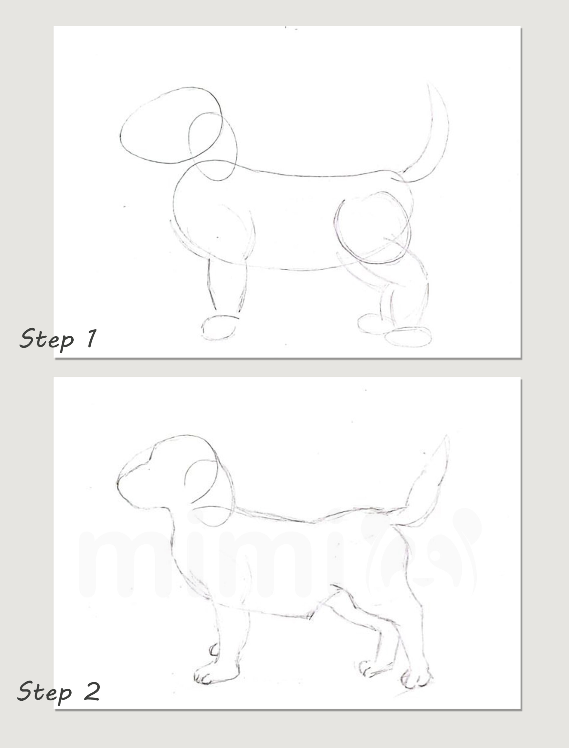 Dog Drawing: Step-by-Step Tutorial | Mimi Panda