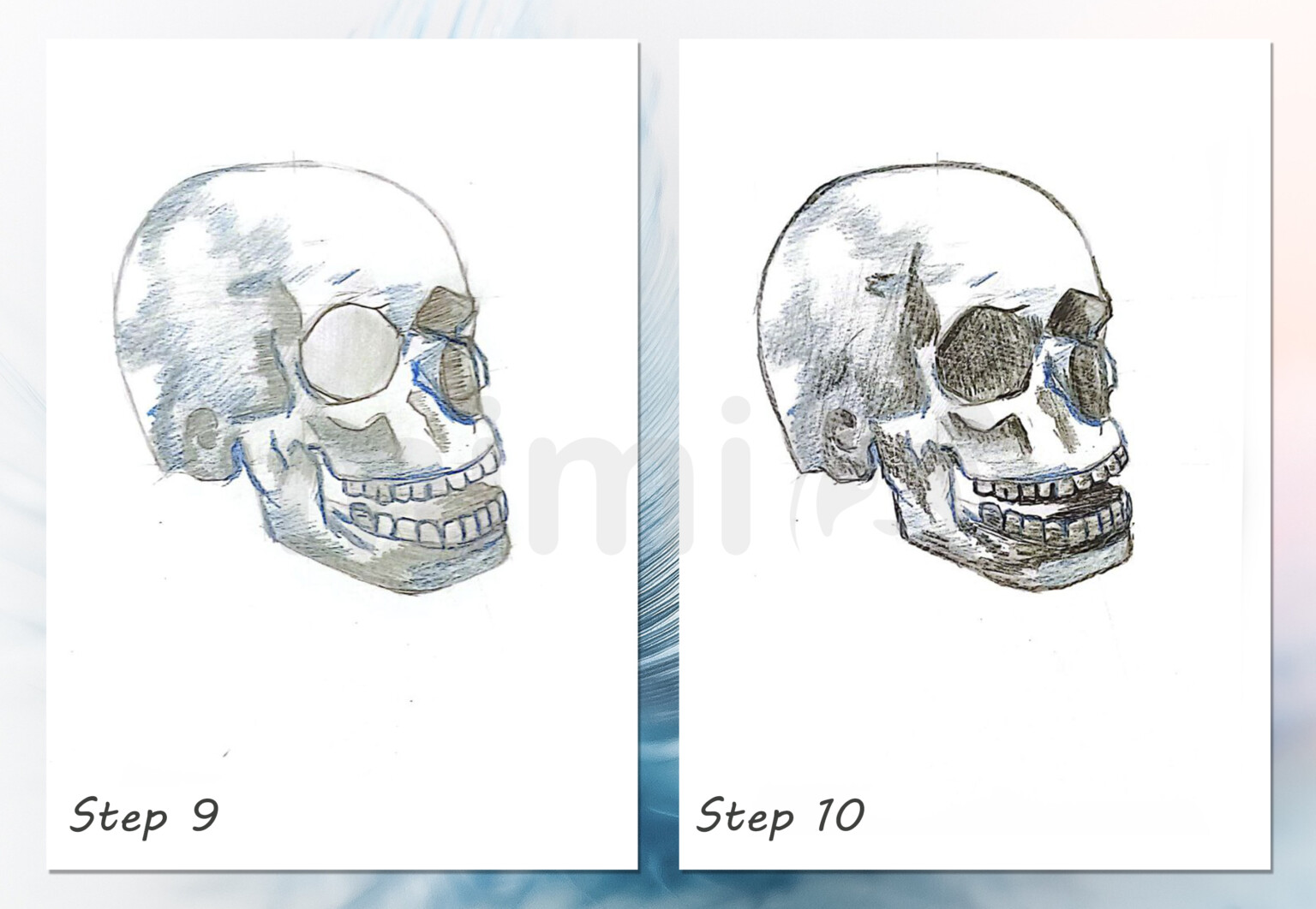 Skull Drawing: Step-by-Step Tutorial | Mimi Panda