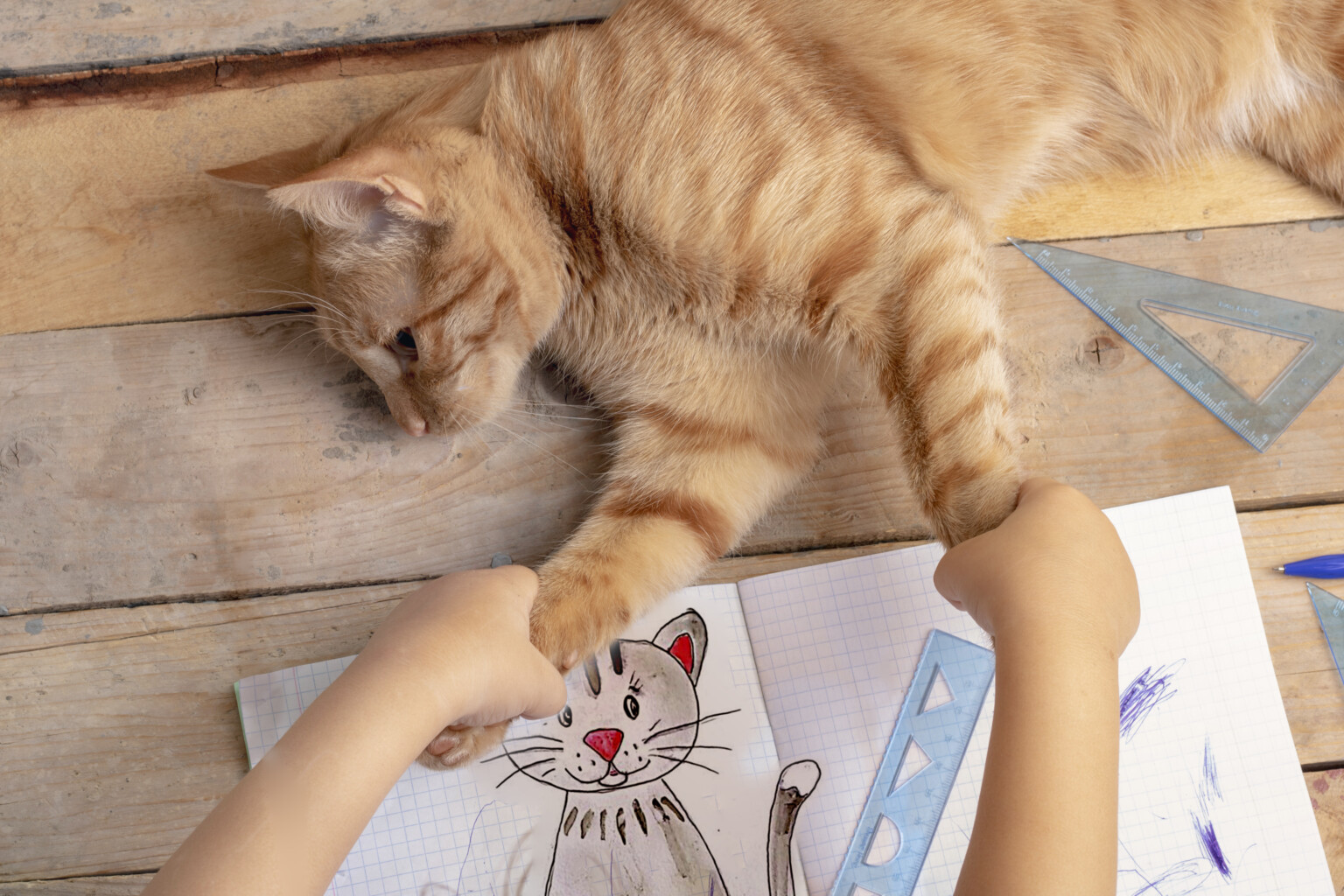 Cat Drawing: Step-by-Step Tutorial | Mimi Panda