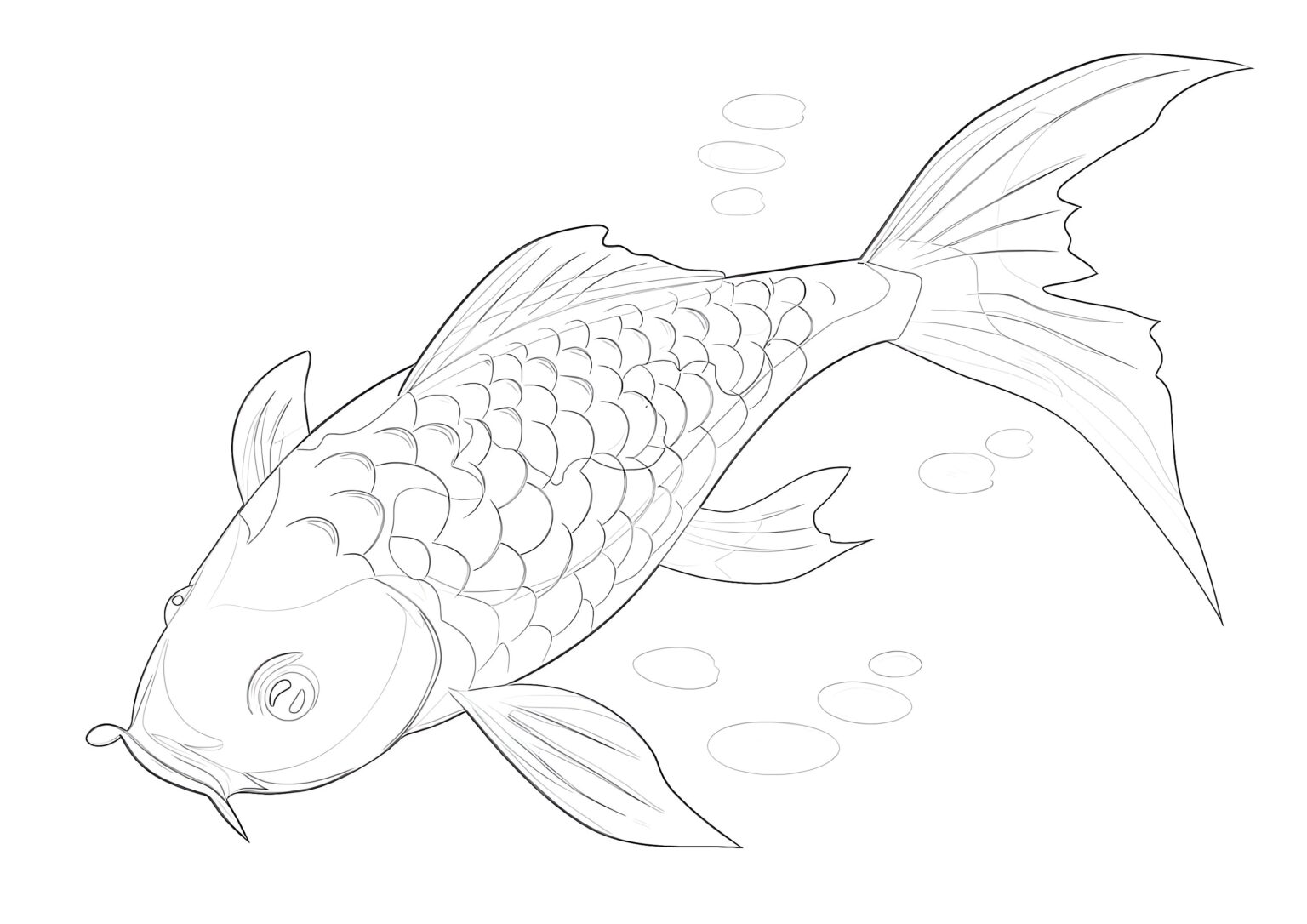 Free Koi Fish Coloring Page | Coloring Pages Mimi Panda
