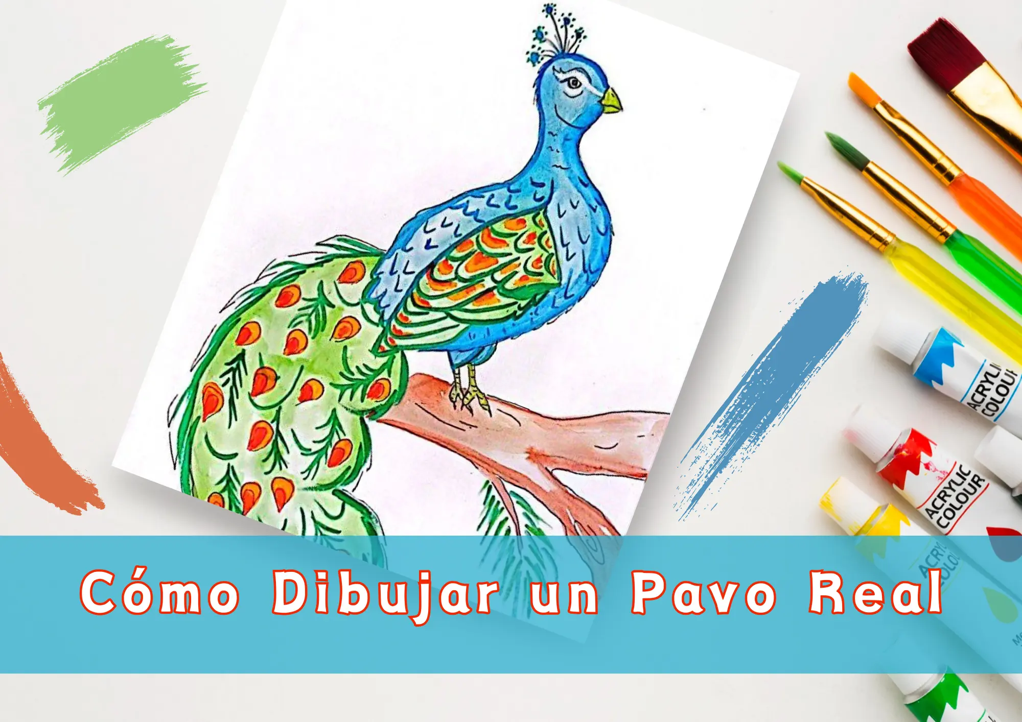 Dibujo De Pavo Real Paso A Paso