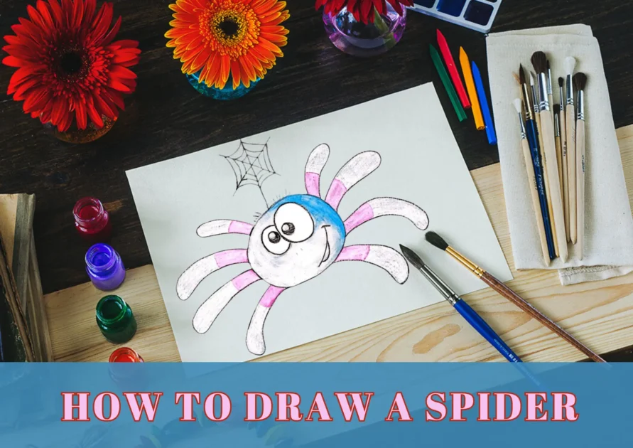 How to Draw a Spider – Step by Step | How to Mimi Panda