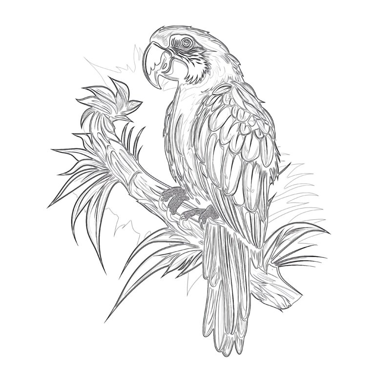 Different Kinds of Birds Coloring Page | Coloring Pages Mimi Panda