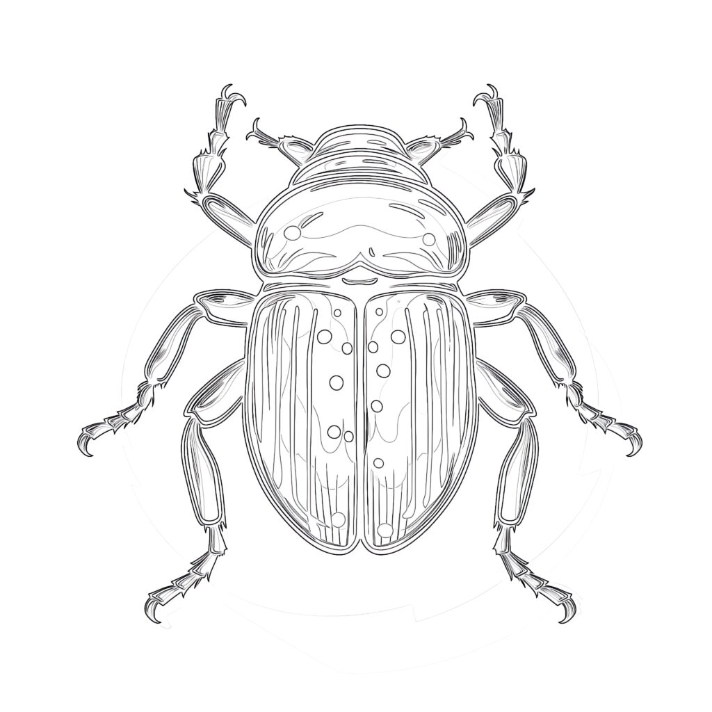 Beetle Coloring Page | Coloring Pages Mimi Panda
