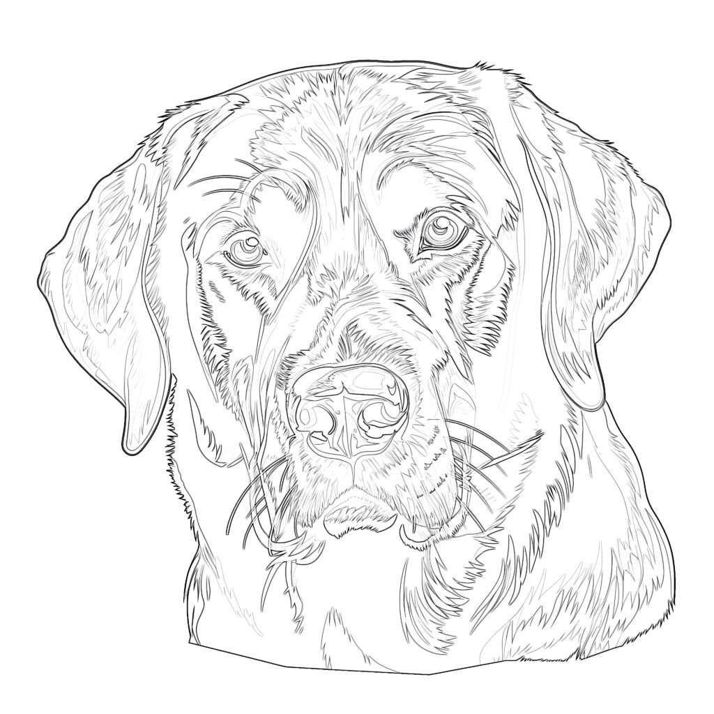 Black Lab Coloring Pages | Coloring Pages Mimi Panda