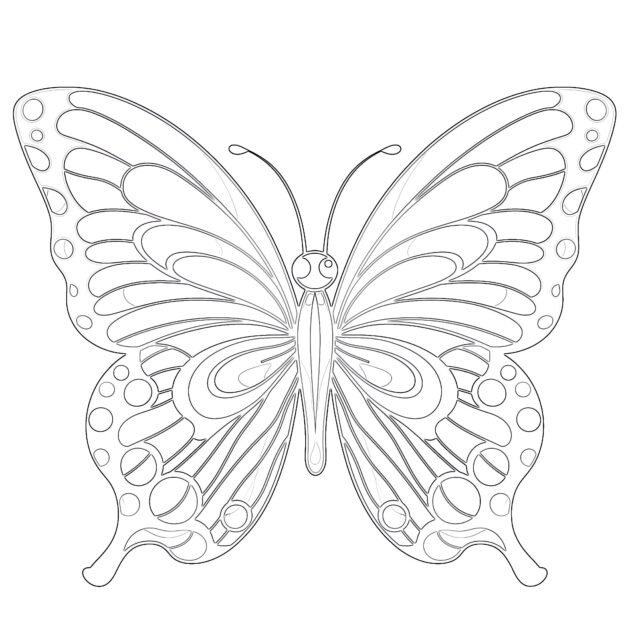 Motýl Snadné Omalovánky | Omalovánky Mimi Panda