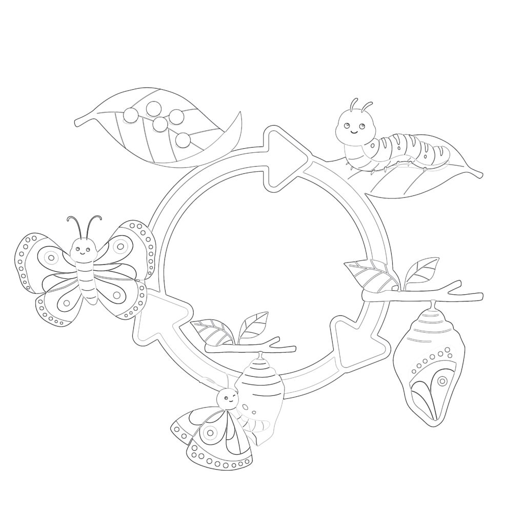 Life Cycle Coloring Page Of A Seed To Plant Sketch Coloring Page