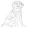 Chocolate Lab Coloring Pages | Coloring Pages Mimi Panda