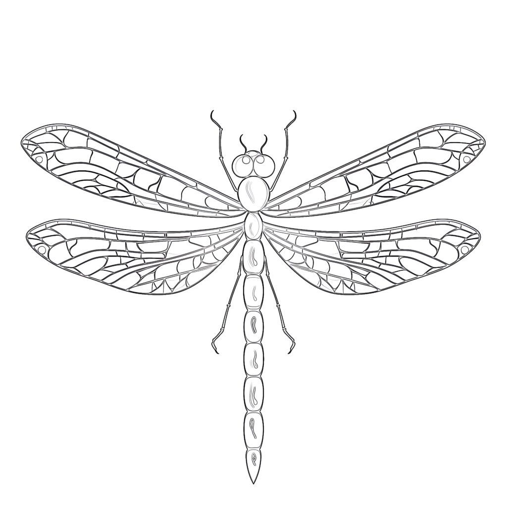 Páginas Para Colorear de Libélulas Para Imprimir