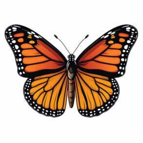 Página Para Colorear Mariposa Monarca | Páginas Para Colorear Mimi Panda⁤