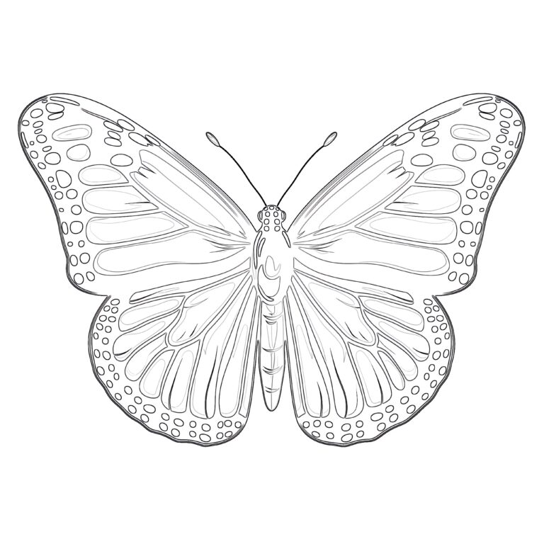 Coloring Page Monarch Butterfly | Coloring Pages Mimi Panda