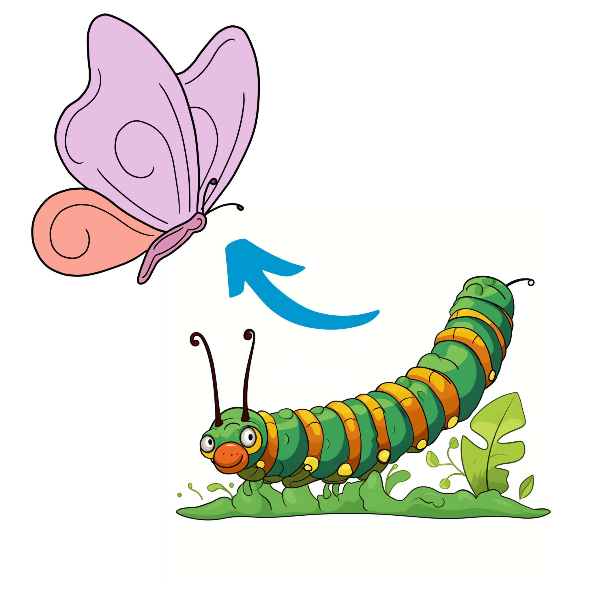 Coloring Pages Caterpillar To Butterfly | Coloring Pages Mimi Panda