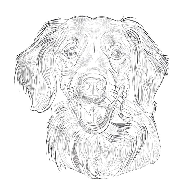 Black Lab Coloring Pages | Coloring Pages Mimi Panda