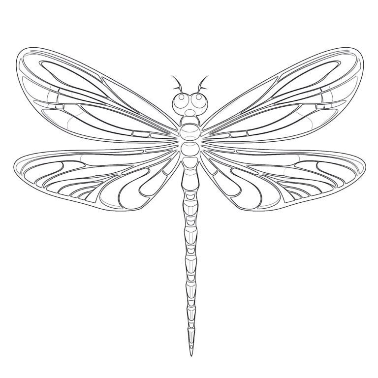 Dragonfly Coloring Pages Printable | Coloring Pages Mimi Panda