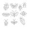 Butterfly on Flowers Coloring Page | Coloring Pages Mimi Panda