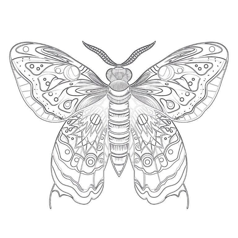 Cute Insects Coloring Page | Coloring Pages Mimi Panda