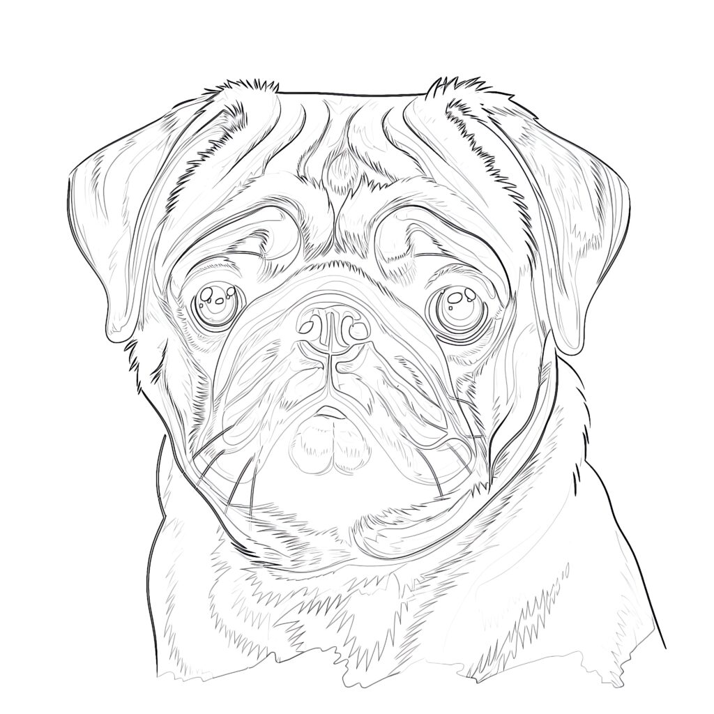 Pug Dog Coloring Pages | Coloring Pages Mimi Panda