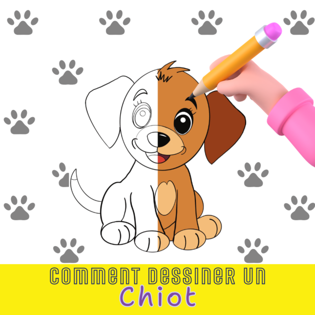 Comment Dessiner Un Chiot: Un Pas à Pas | Comment Faire Mimi Panda Comment Dessiner Un Chiot: Un Pas à Pas | Comment Faire Mimi Panda