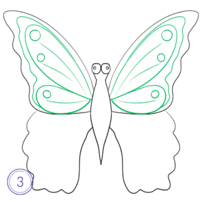 How to Draw a Butterfly: Step by Step | How to Mimi Panda