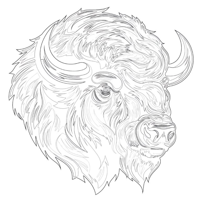 Free Printable Buffalo Coloring Pages | Coloring Pages Mimi Panda