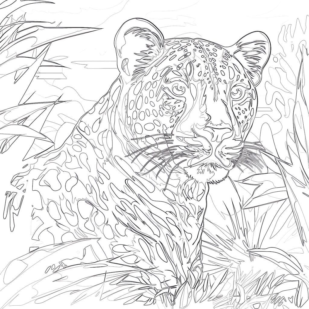 Cheetah Color Sheet Coloring Pages Mimi Panda