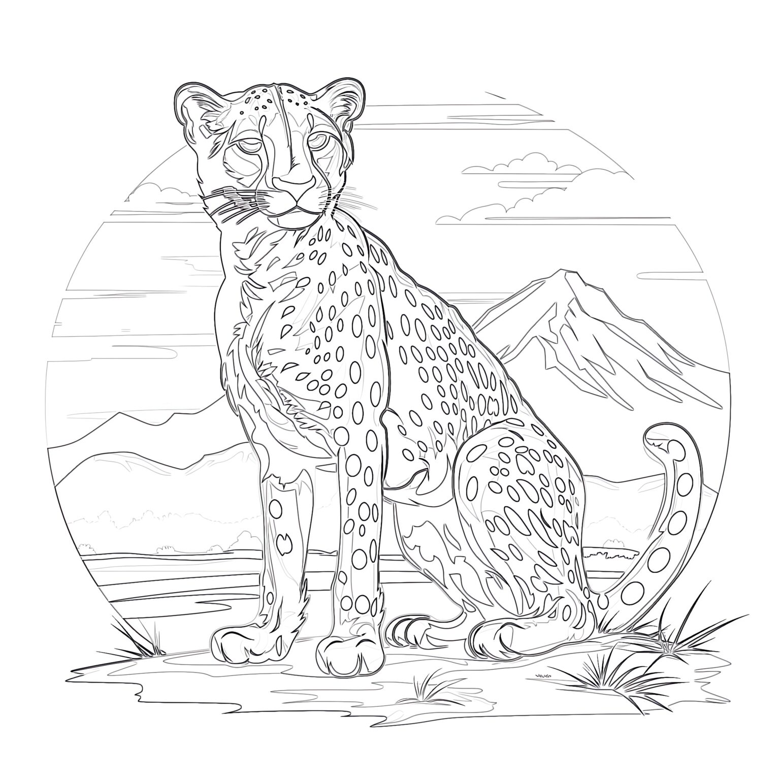 Cheetah Coloring Page Printable | Coloring Pages Mimi Panda