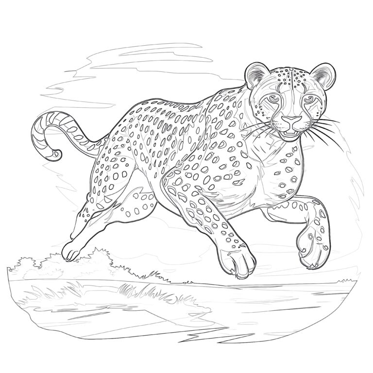 Cheetah Coloring Pages To Print | Coloring Pages Mimi Panda