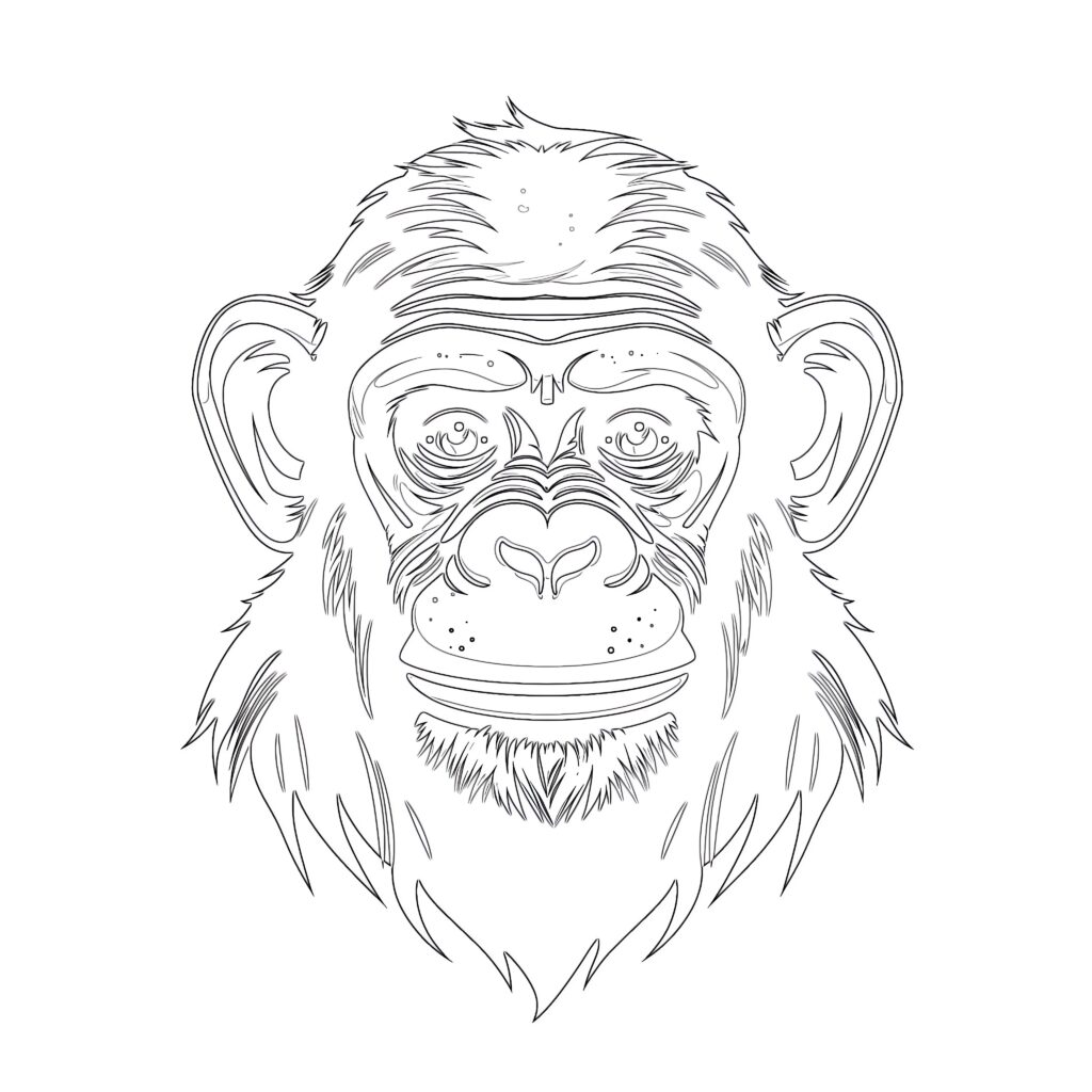 Chimpanzee Coloring Pages | Coloring Pages Mimi Panda