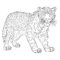 Coloring Jaguar | Coloring Pages Mimi Panda