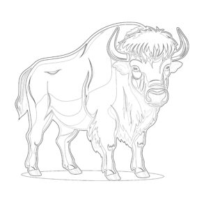 Free Printable Buffalo Coloring Pages | Coloring Pages Mimi Panda
