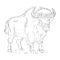 Free Printable Buffalo Coloring Pages | Coloring Pages Mimi Panda