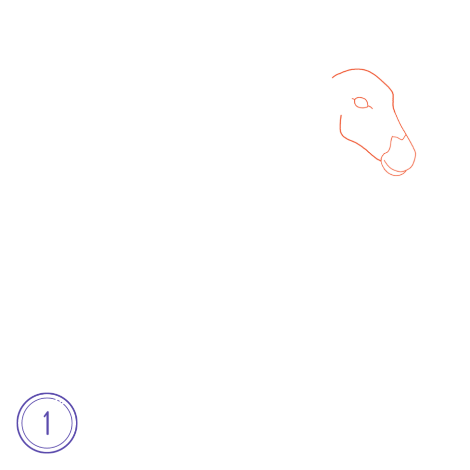 How to Draw a Zebra: A Step-by-Step | How to Mimi Panda