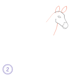 How to Draw a Zebra: A Step-by-Step | How to Mimi Panda