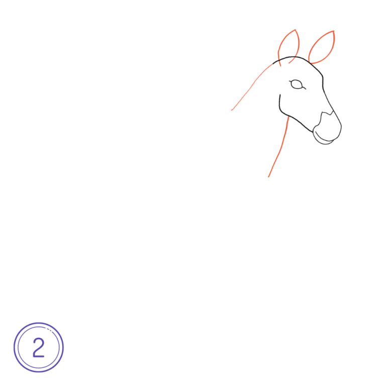 How to Draw a Zebra: A Step-by-Step | How to Mimi Panda