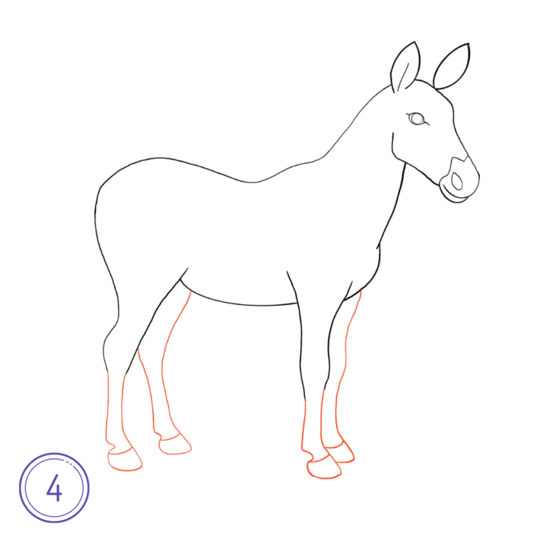 How to Draw a Zebra: A Step-by-Step | How to Mimi Panda