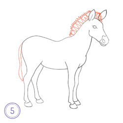 How to Draw a Zebra: A Step-by-Step | How to Mimi Panda